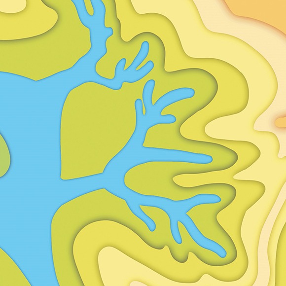 Li Lab | Janelia Research Campus